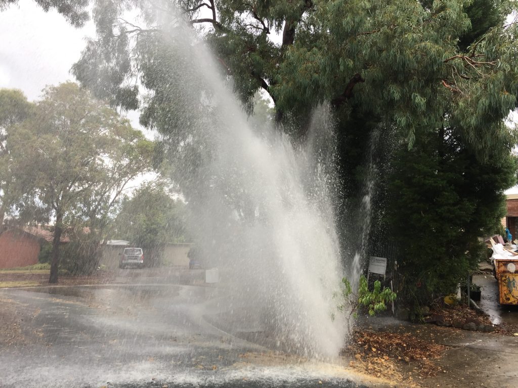 Water Emergencies | The MDC